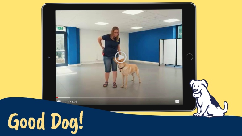 Good Dog! | Guide Dogs