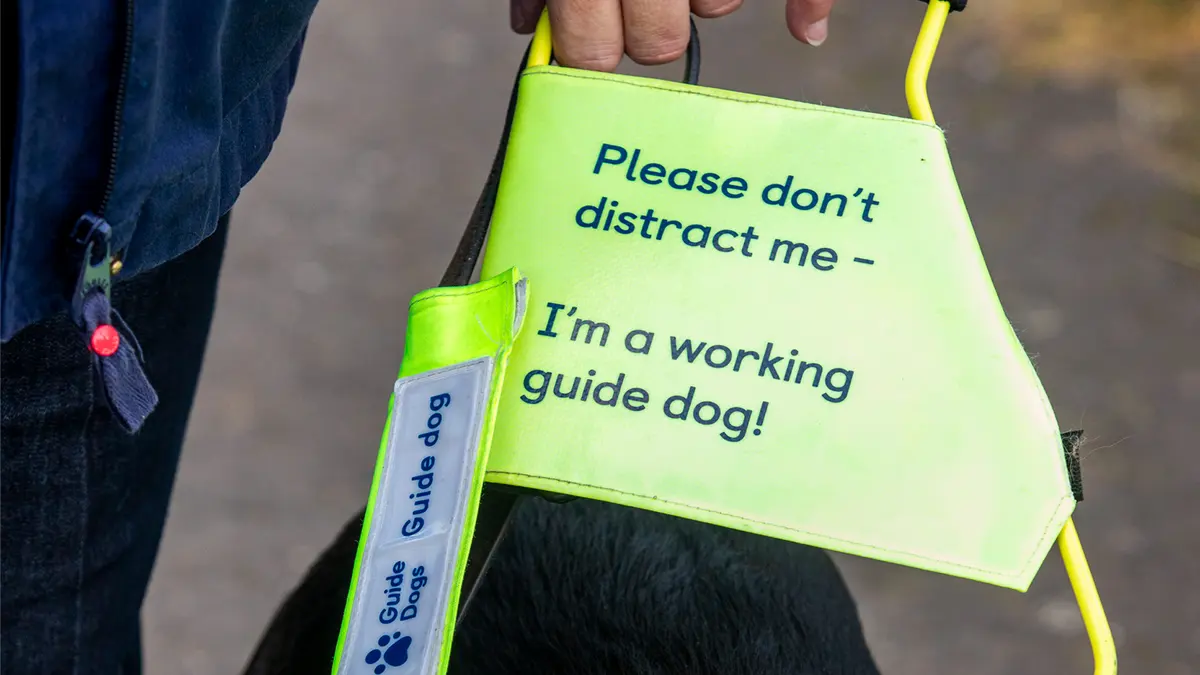 Travelling with your assistance dog | Guide Dogs