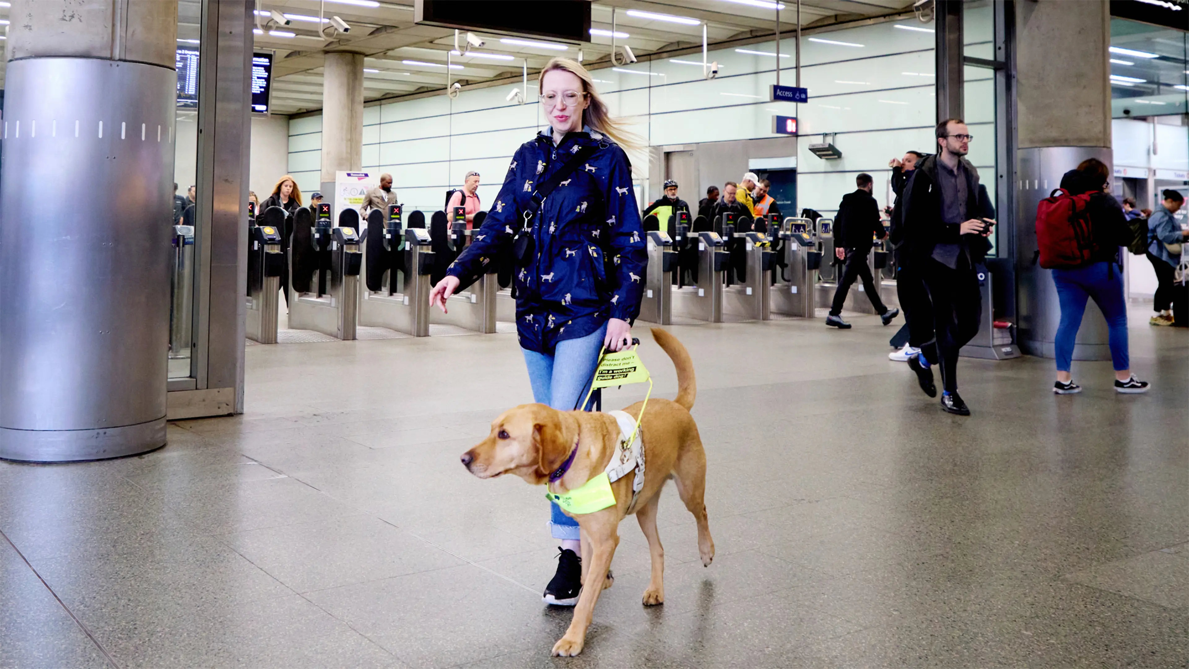 pet border control uk