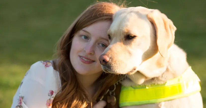 About Guide Dogs | Supporting People with Sight Loss