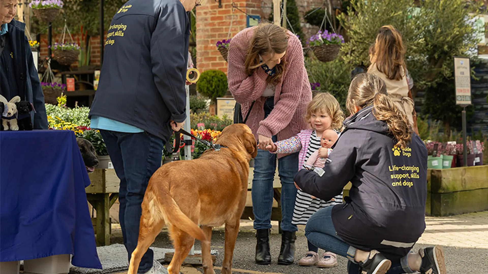 Volunteering Opportunities | Guide Dogs UK