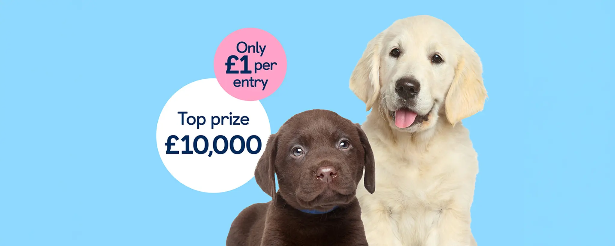 Guide Dogs | The Guide Dogs for the Blind Association