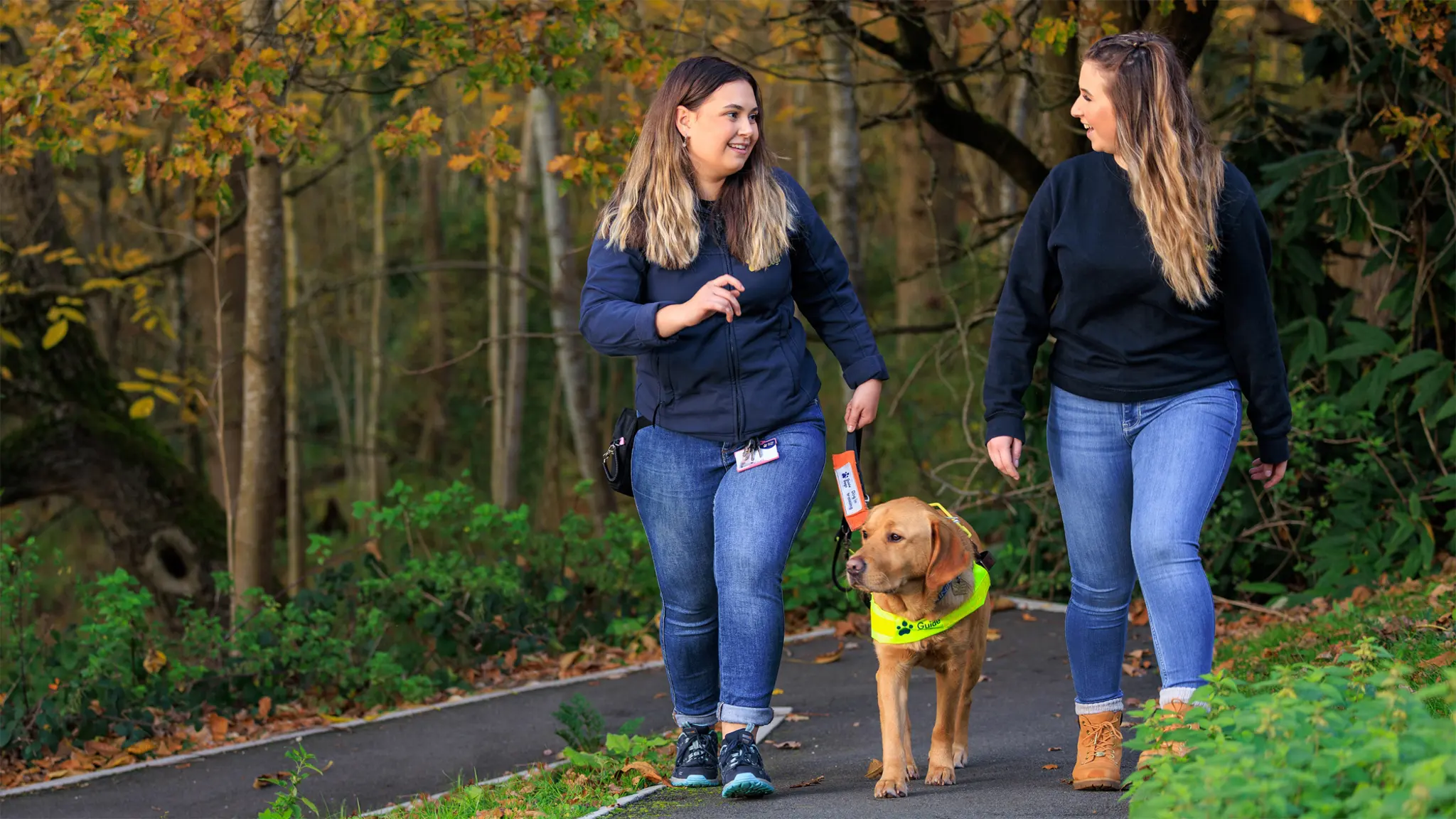 Guide Dogs' Centres | Guide Dogs