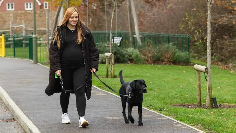 Preparing for Your New Dog or Puppy to Arrive | Guide Dogs