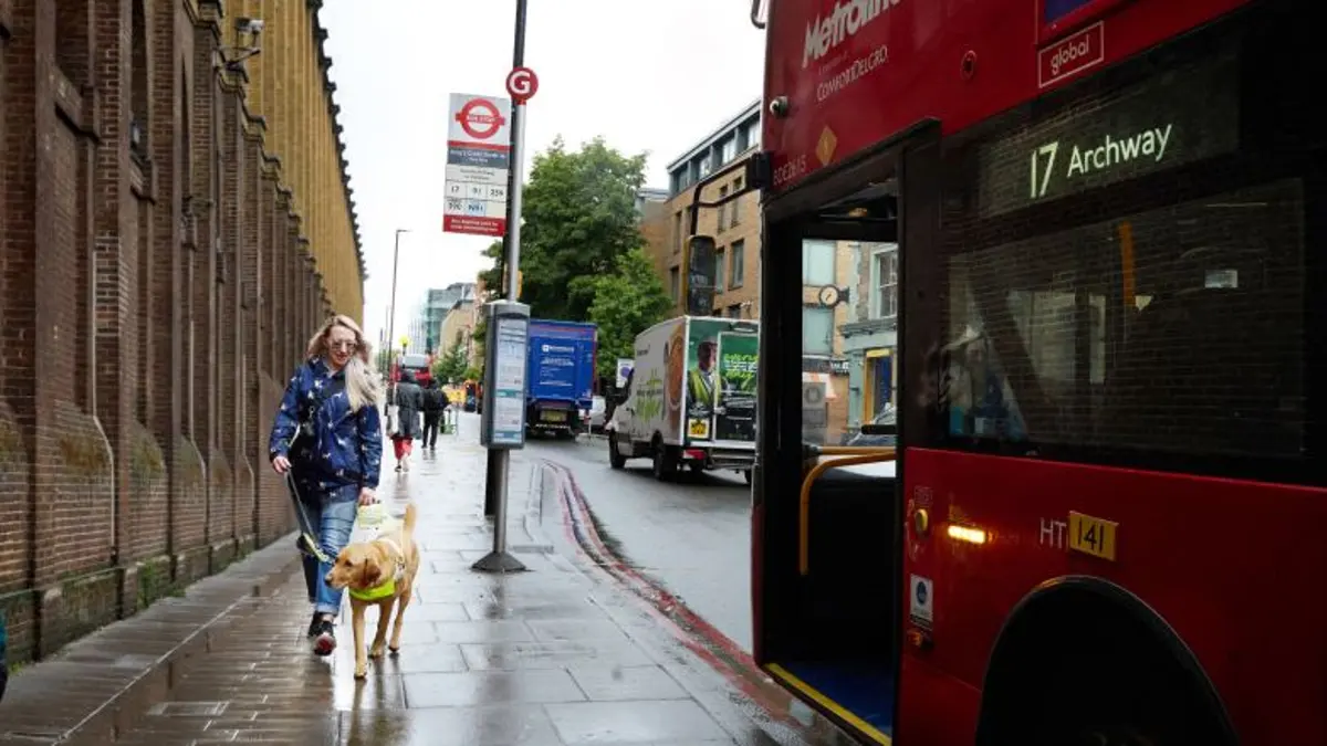 Travelling with your assistance dog | Guide Dogs