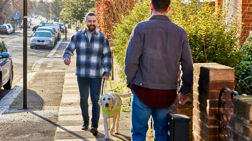 Josh and Ringo’s Story | Guide Dogs UK