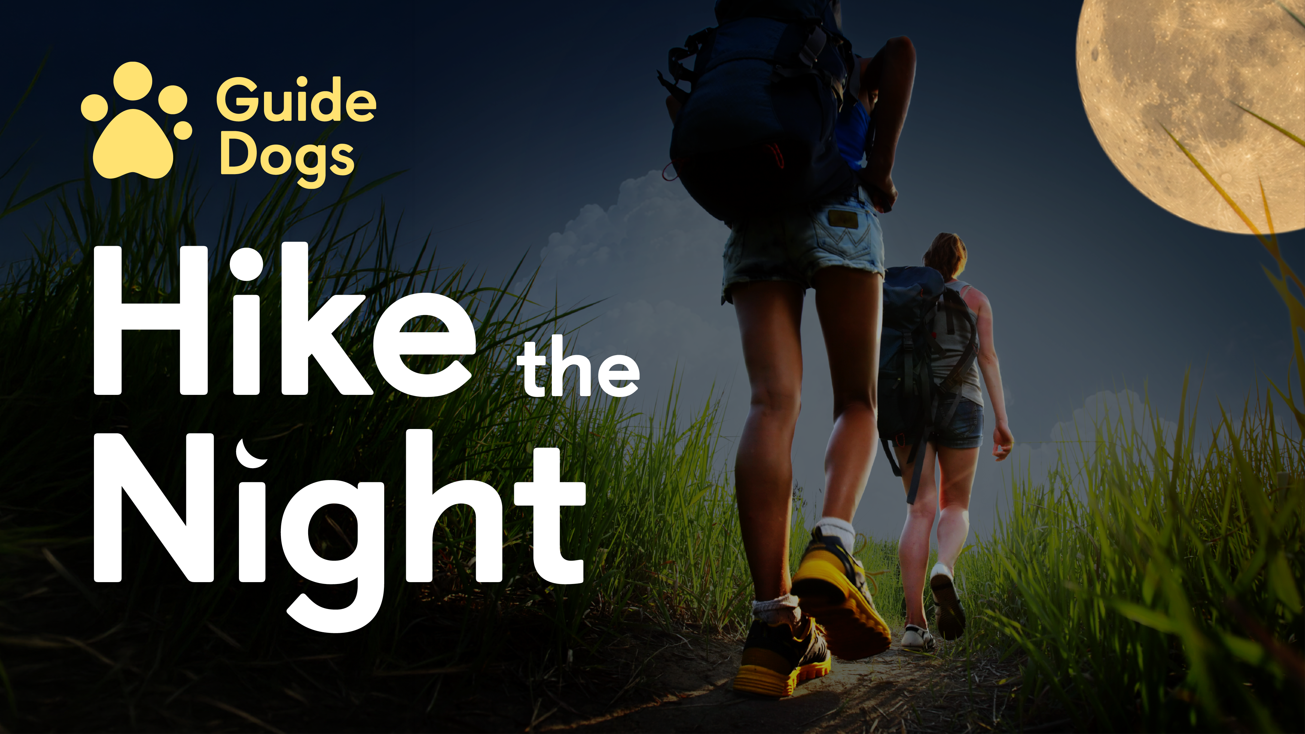 Hike the Night with Guide Dogs | Charity Hike