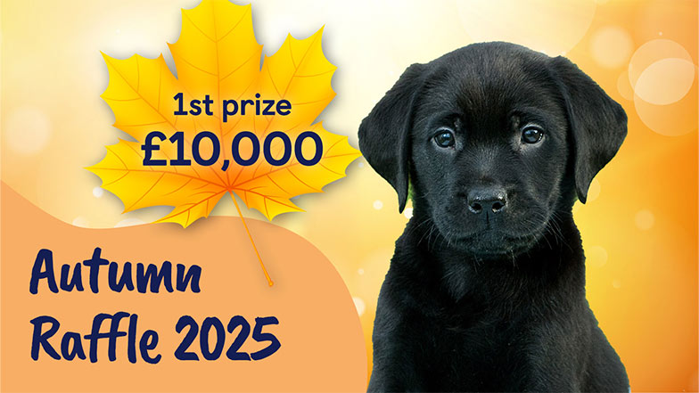 Win Up to £10,000 in Our Charity Raffle | Guide Dogs UK