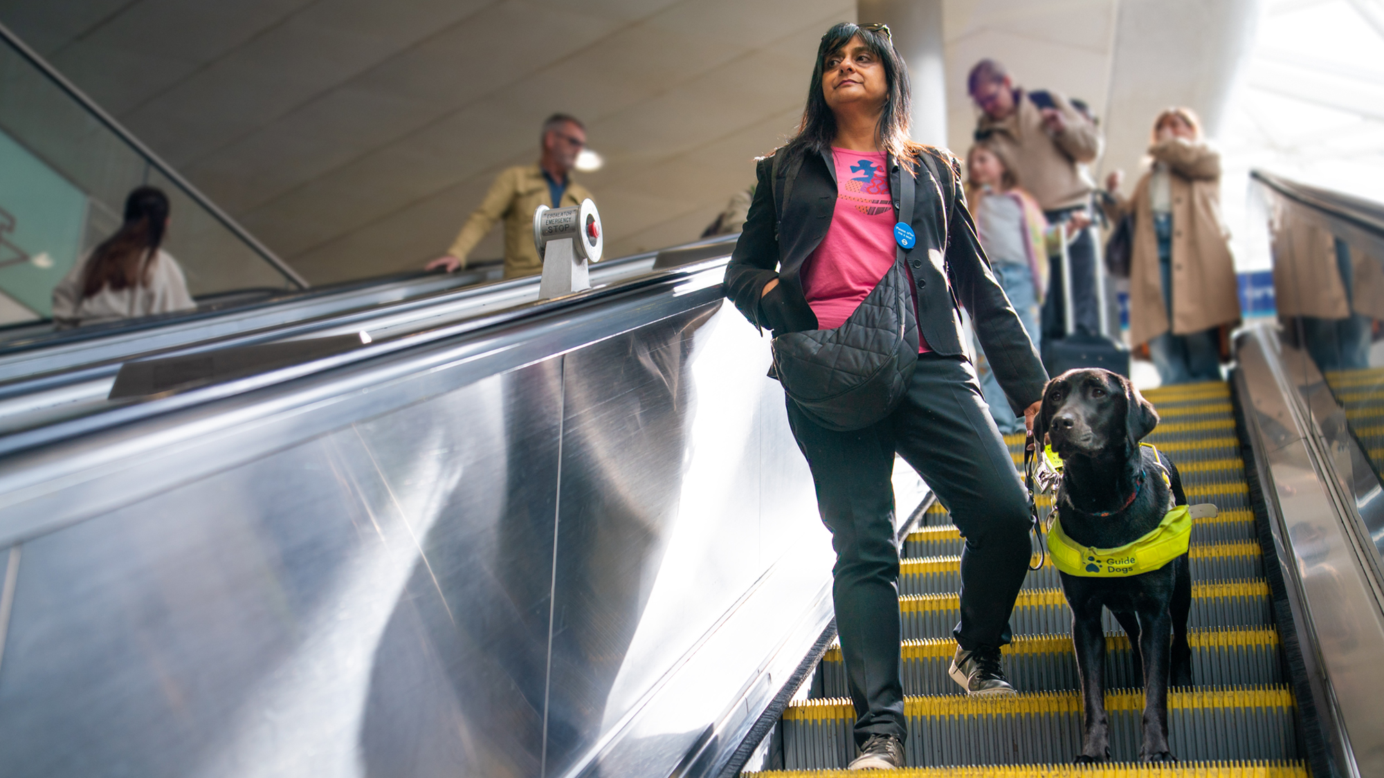 Campaign | The Rights of People with Sight Loss | Guide Dogs