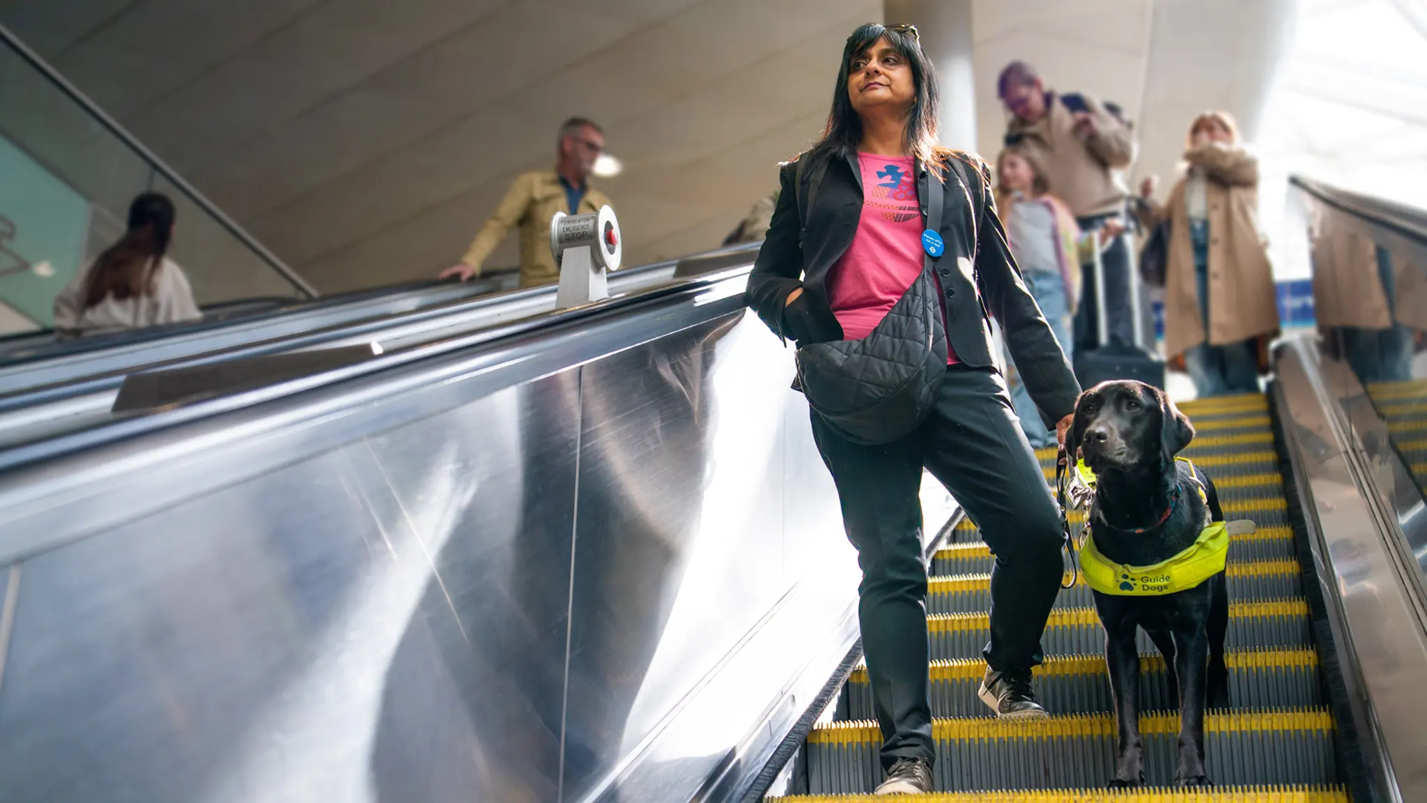 Travelling with your assistance dog | Guide Dogs