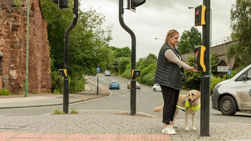 Training Our Dogs | How to Train a Guide Dog | Guide Dogs UK