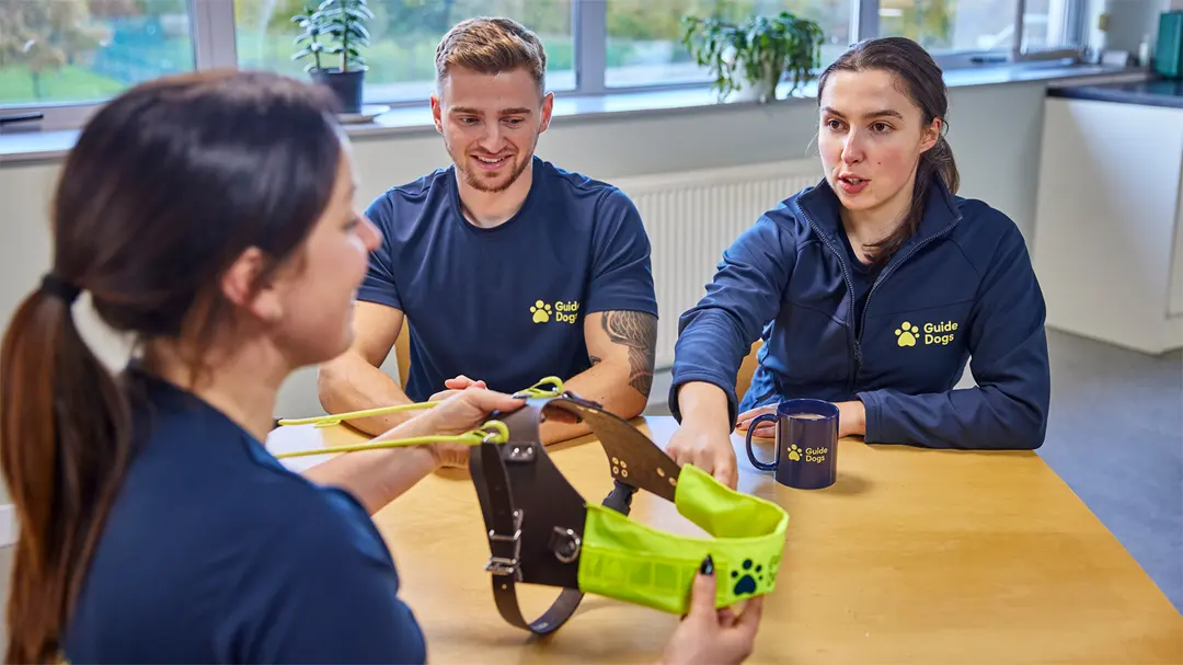 Careers | Working for Our Charity | Guide Dogs UK