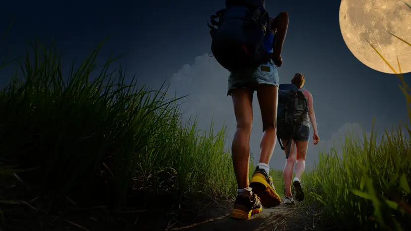 Hike the Night with Guide Dogs | Charity Hike